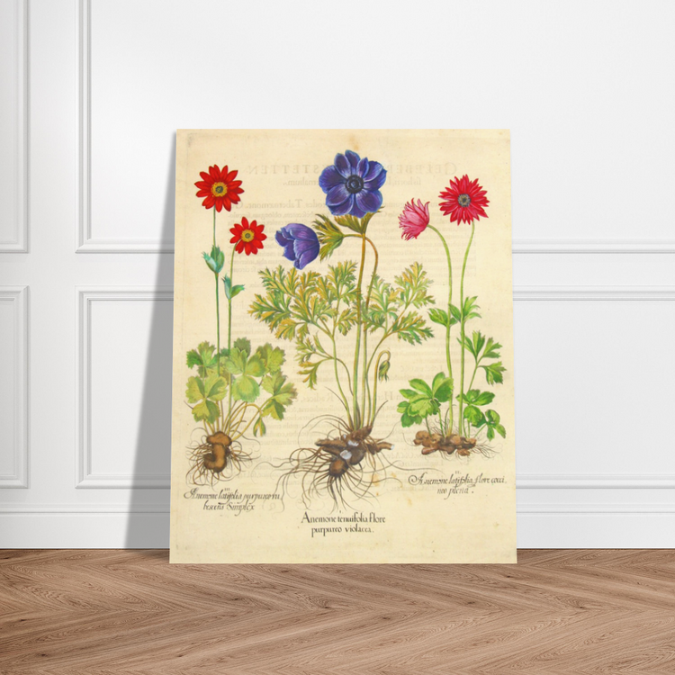 Buy Vintage & Antique Historical Prints Online