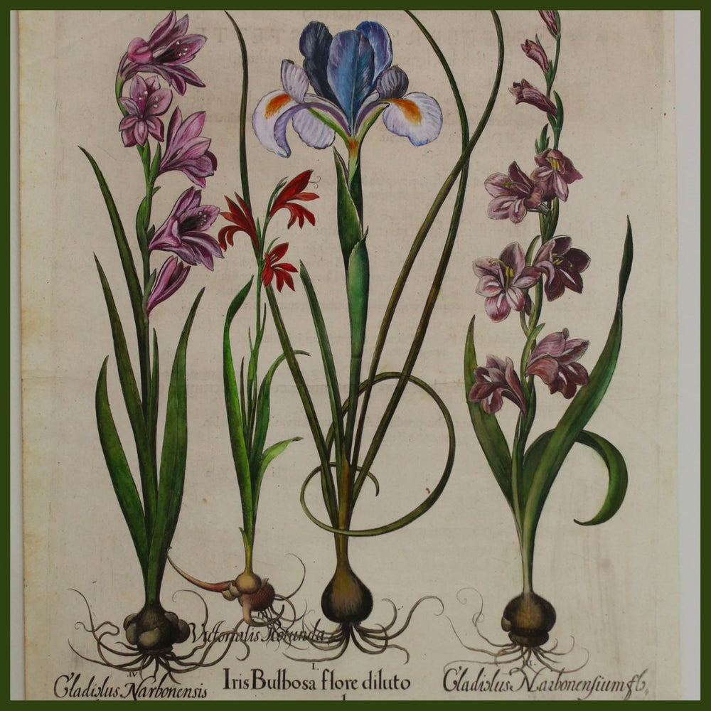 Buy Vintage & Antique Historical Prints Online